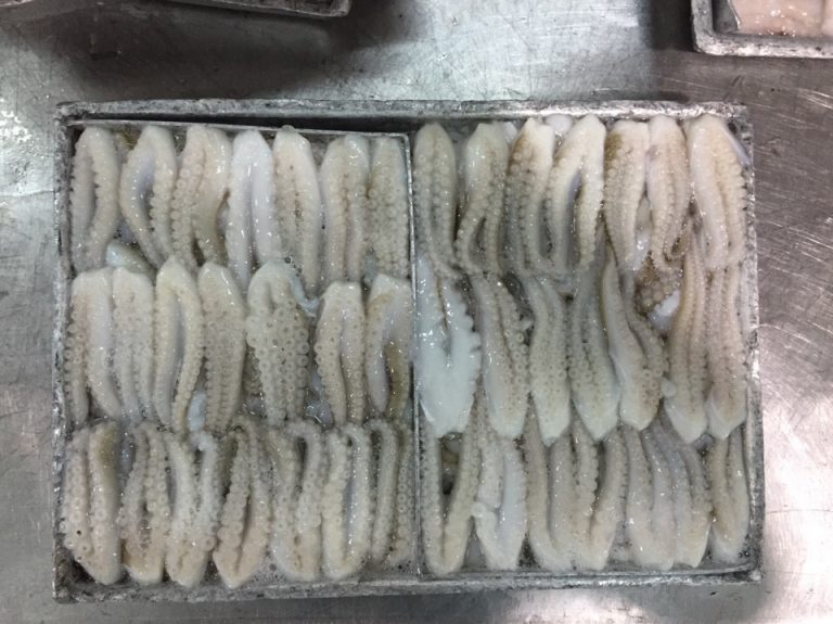 Mollusca Product - Thien Minh Sea Food